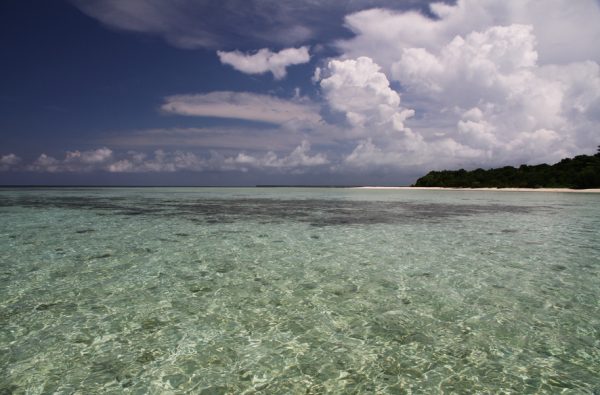 Plan your trip to the Derawan islands | Le Big Trip