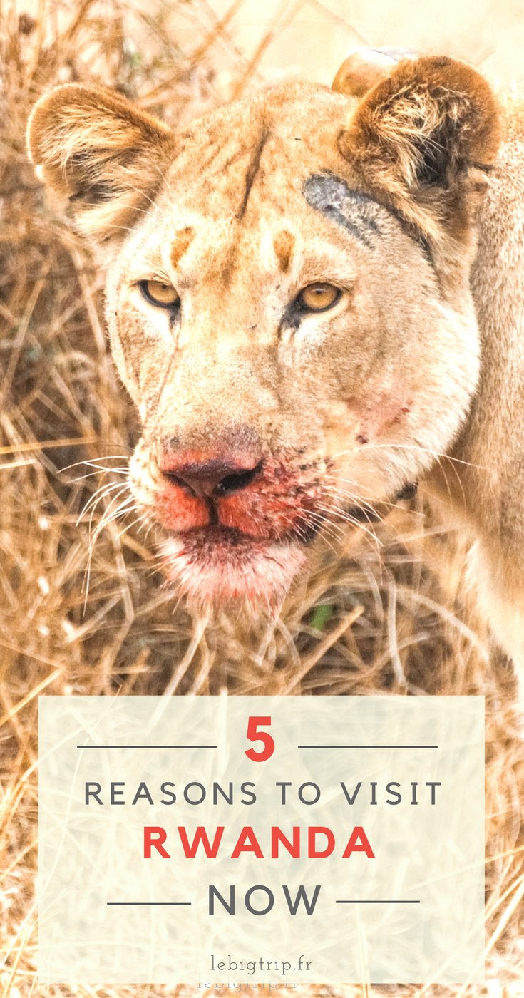 5 reasons to visit Rwanda now | Le Big Trip